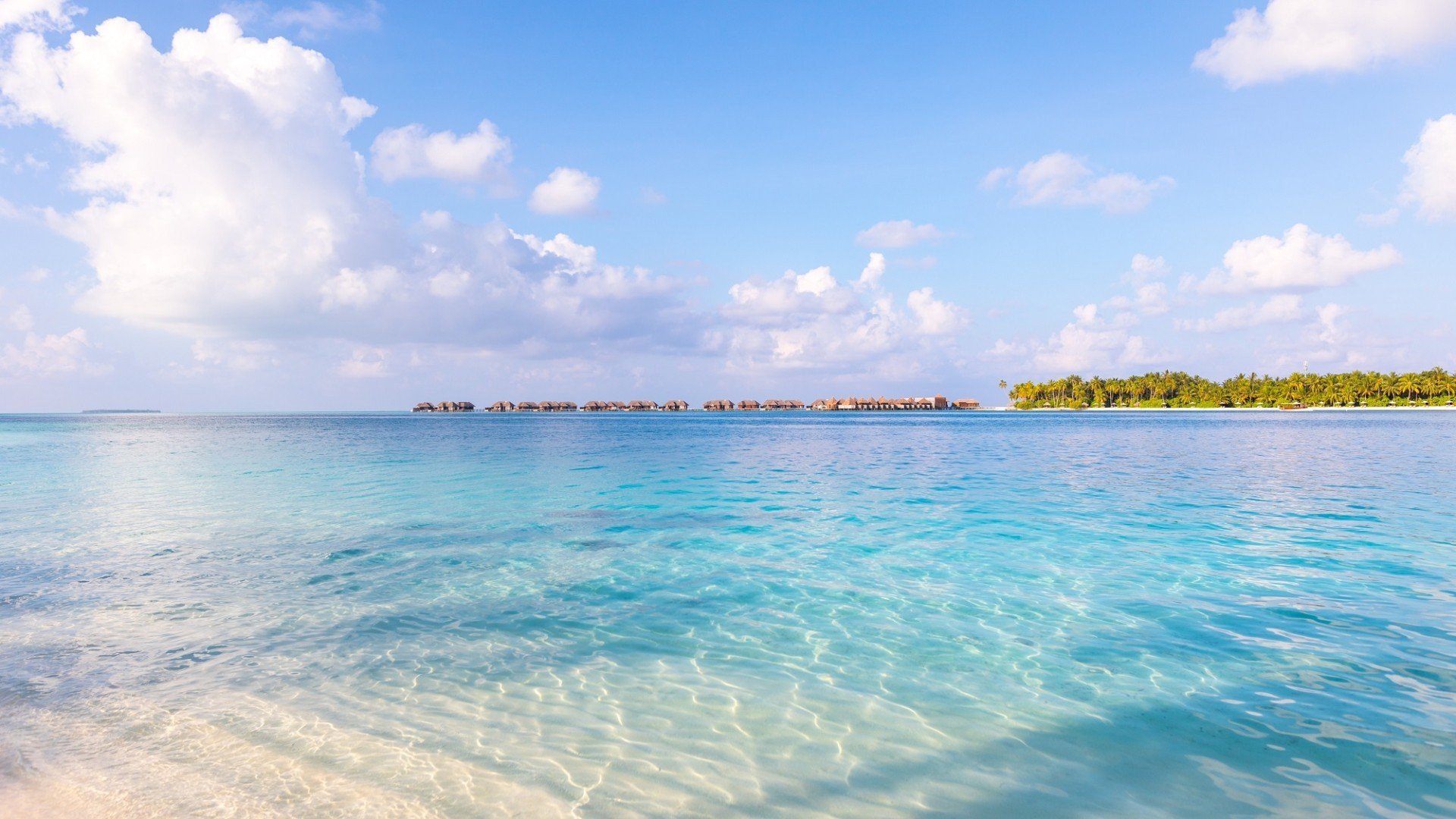 Luxury Cruises 2025 | Luxury Cruise Deals 2025 | SixStarCruises